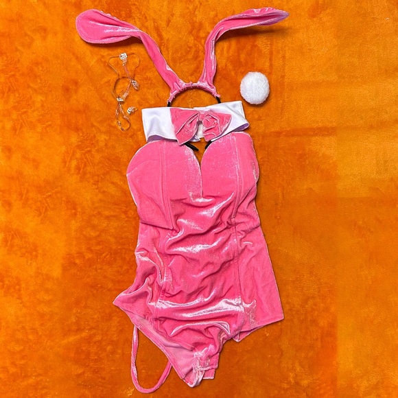 AiMiNa | Other | Aimina Anime Womens Bunny Girl Costume Pinksmall ...